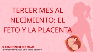 Presentación Calendario De Embarazo Ilustrativo Rosado Y Rojo.pptx