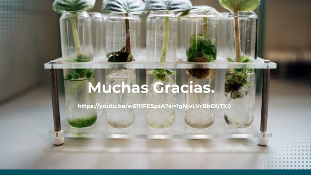 ELABORACION DE una MAQUETA del secuenciador de nanoporos (MinION MK1C ...