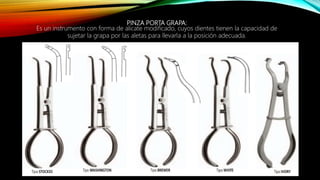 Instrumental en Endodoncia | PPTX