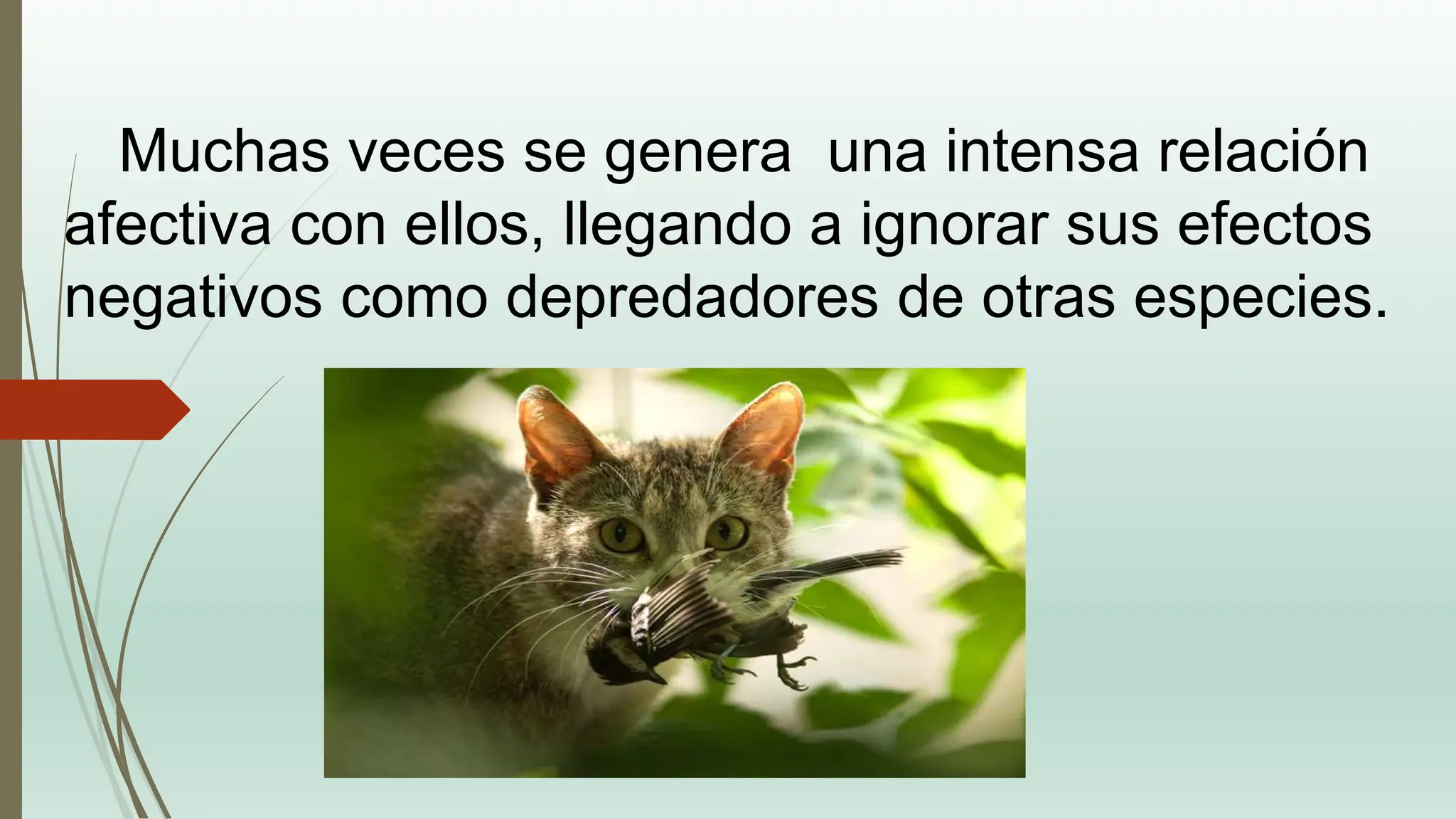 FRacciones, explicacion, partes y lecturapptx | PPT