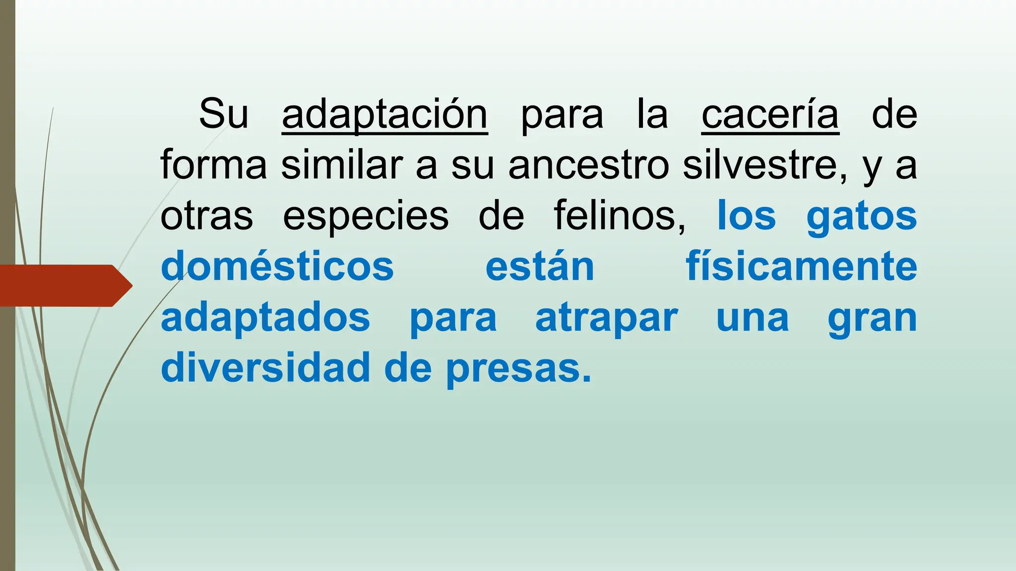 FRacciones, explicacion, partes y lecturapptx | PPT