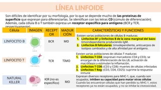 Inmunidad y barreras del huésped: Generalidades e introducción a la ...
