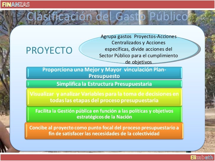 Gastos Publicos