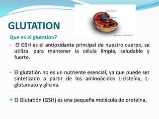 Presentación de glutation | PPTX