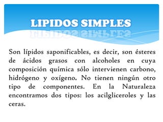Grasas neutras | PPTX