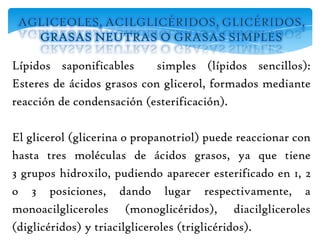 Grasas neutras | PPTX