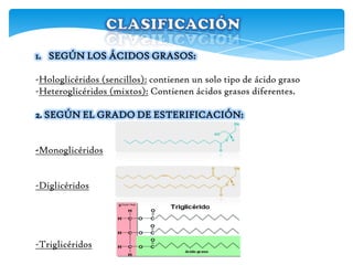 Grasas neutras | PPTX