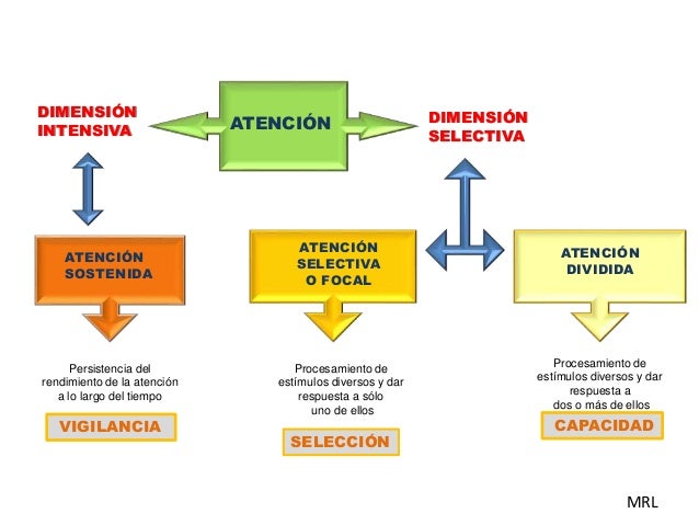 NEUROPSICOLOGIA 403025A_360.
