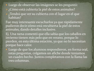Manriquez Pelayes - Las cubiertas de los animales (2º grado) | PPTX