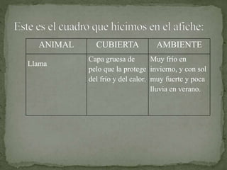 Manriquez Pelayes - Las cubiertas de los animales (2º grado) | PPTX