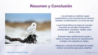 presentación de la clasificación de los animales.pptx