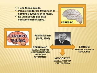 Presentación del cerebro triuno | PPT