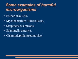 Microorganisms | PPT