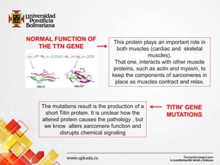 FOLDING (Central dogma of genetics) | PPT