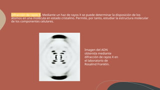 Presentación de microscopía celular.pptx