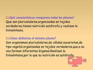 El reino plantas 1º ESO | PPS