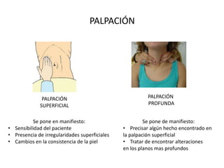 Presentación de palpación | PPT