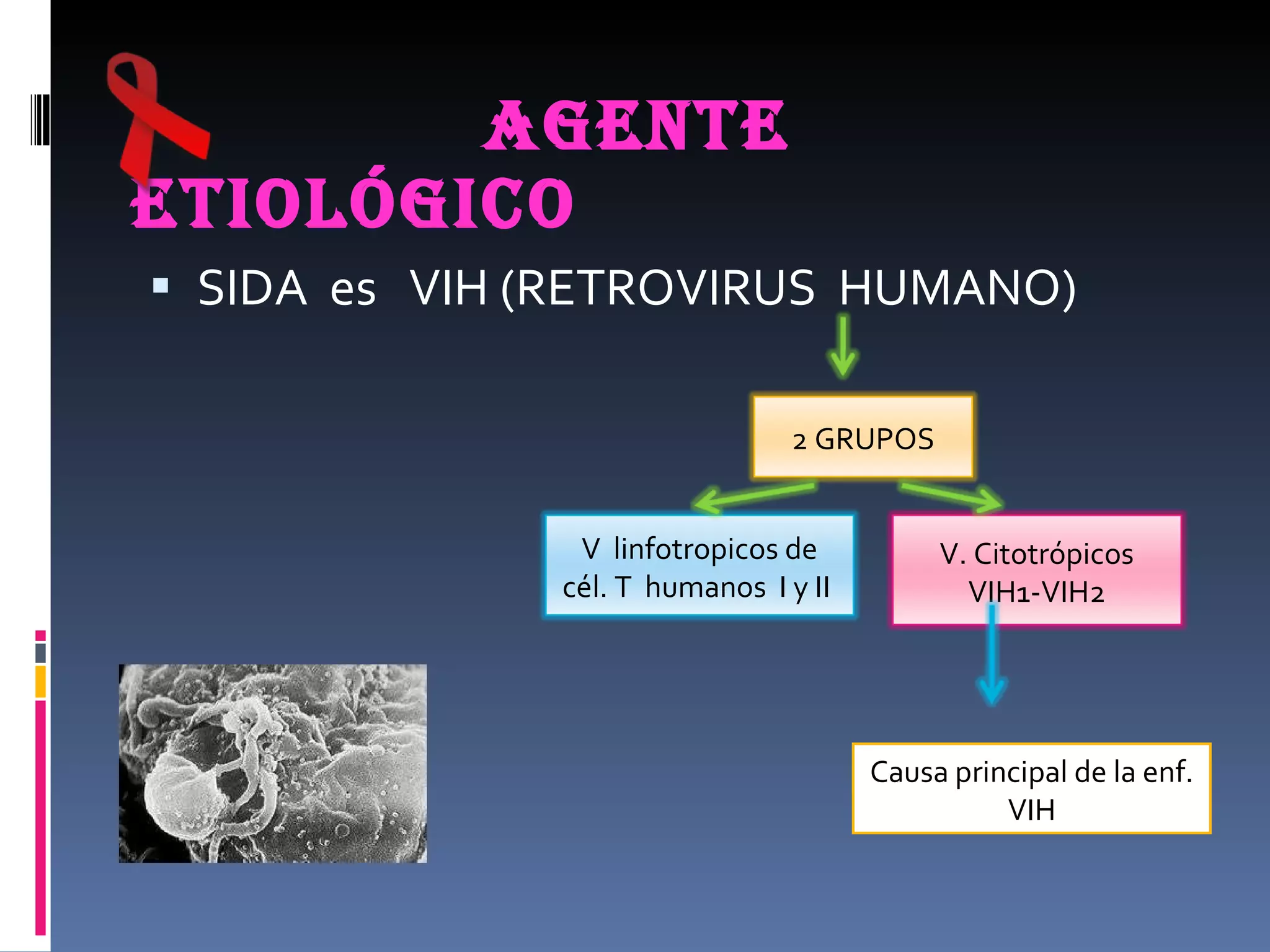 Presentación de sida | PPT