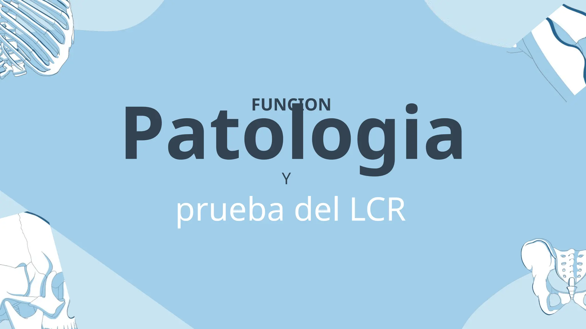 Presentación Diapositivas Anatomía Cuerpo Humano Ilustrativo Simple ...
