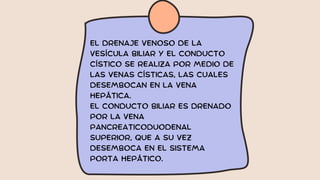 LA VIA BILIAR Y SUS COMPONENTES EN GASTROENTEROLOGIA | PDF