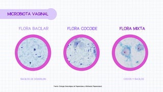 Citología Ginecológica. Sistema de Reporte. | PDF