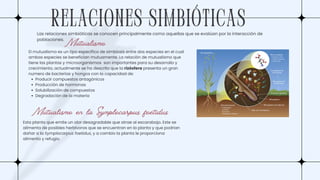 Presentación Diapositivas Propuesta de Proyecto Portfolio Catálogo ...