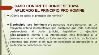 Presentación Digital sobre el principio pro homine.potx