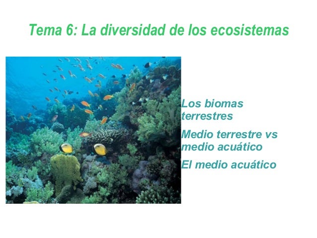 Diversidad De Ecosistemas