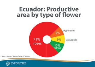 Ecuadorian Floriculture: fresh cut flowers from Ecuador | PPT