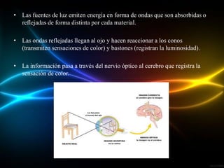 PRESENTACIÓN EL COLOR 4°ESO.ppt