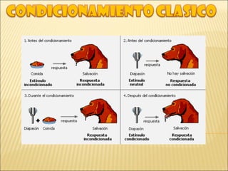 Presentación Aprendizaje desde la Perspectiva Conductista | PPT