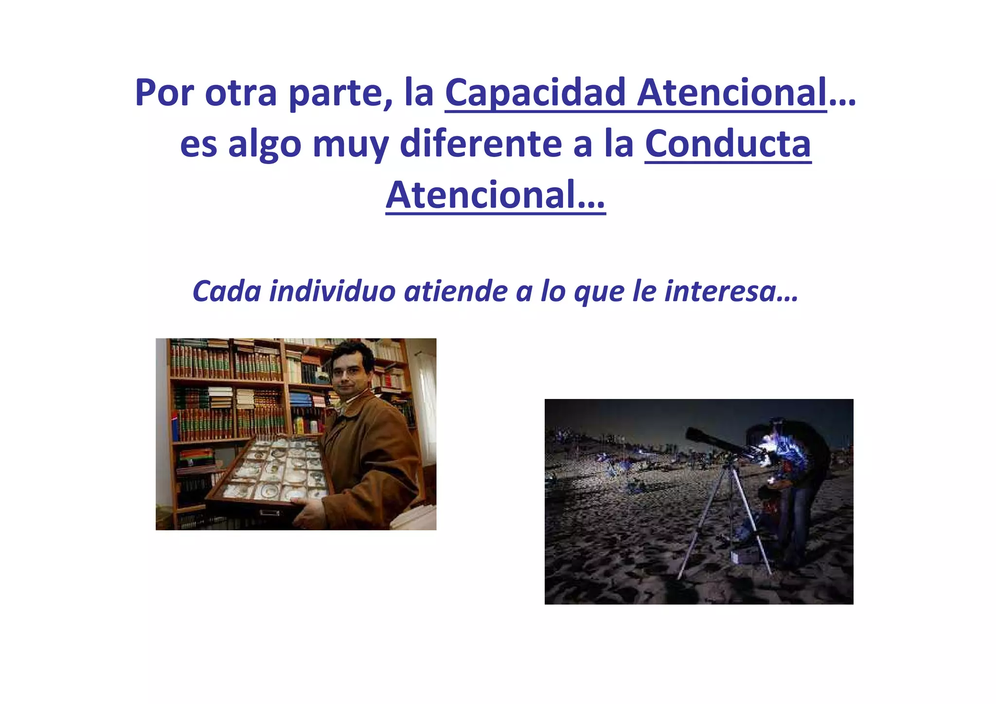EMAV. Escalas Magallanes de Atención Visual | PDF
