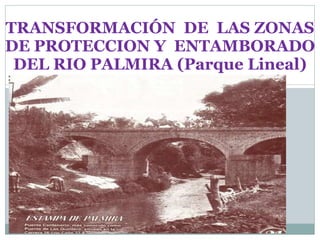 Transformación de las Zonas de Protección y Entamborado del Río Palmira ...