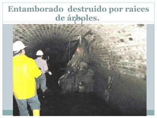 Transformación de las Zonas de Protección y Entamborado del Río Palmira ...