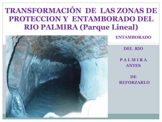 Transformación de las Zonas de Protección y Entamborado del Río Palmira ...