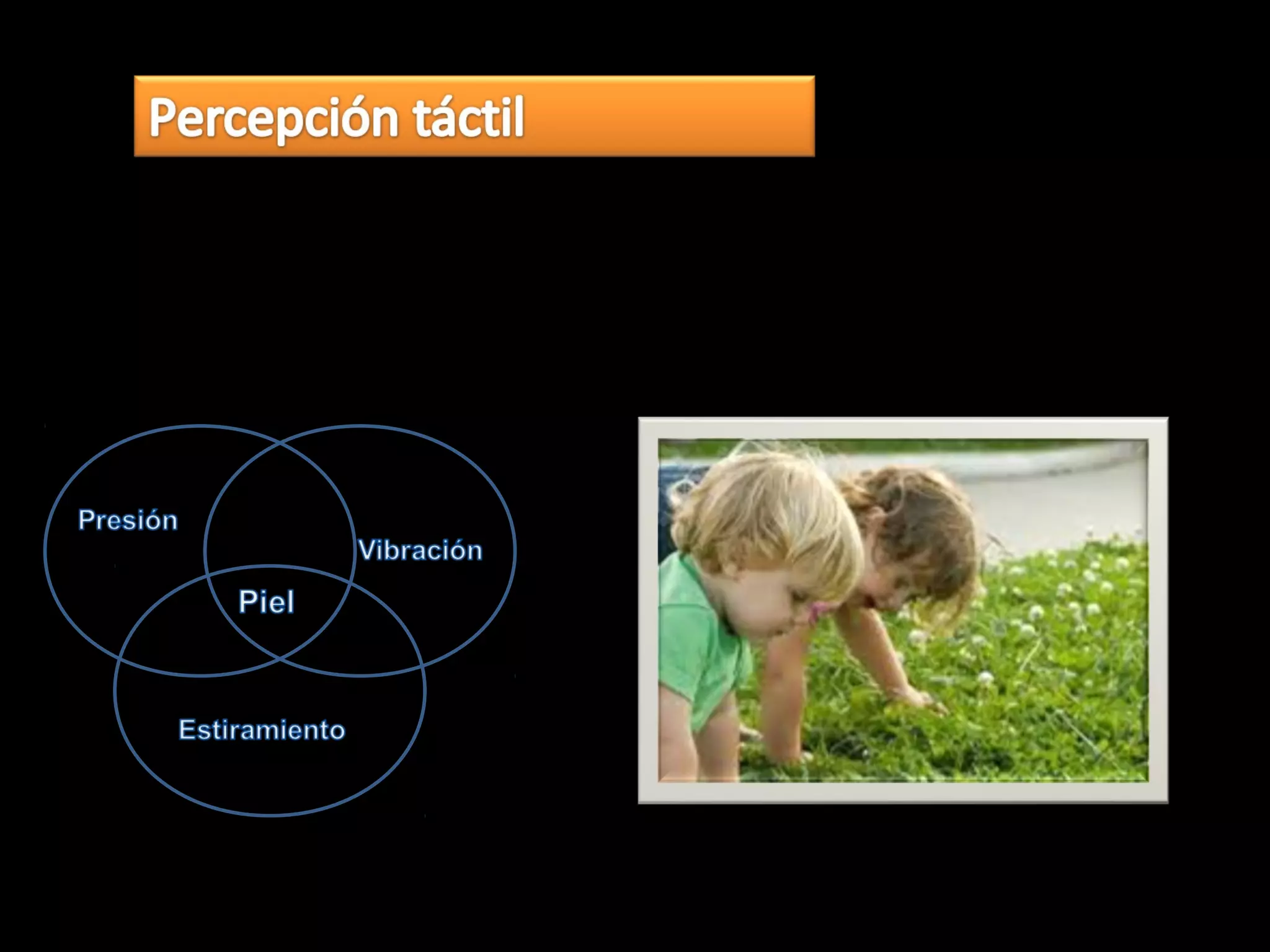 Presentación final | PPT