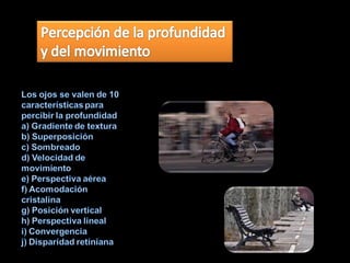 Presentación final | PPT