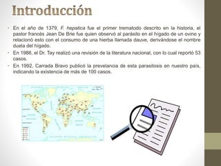 Prevalencia de fasciolosis en México | PPTX