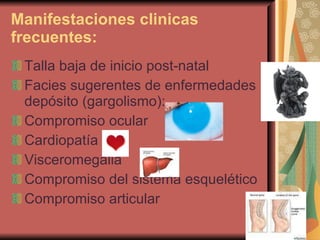 MUCOPOLISACARIDOSIS | PPT