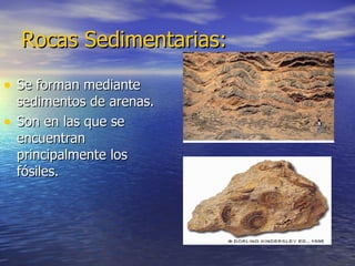 PresentacióN Fosiles | PPT