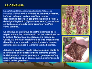PRESENTACIÓN GALLETAS DE CAÑAHUA.ppt