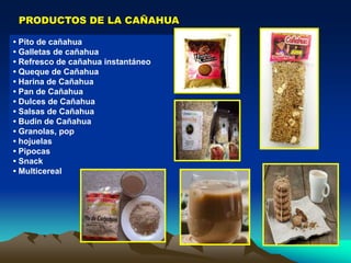 PRESENTACIÓN GALLETAS DE CAÑAHUA.ppt