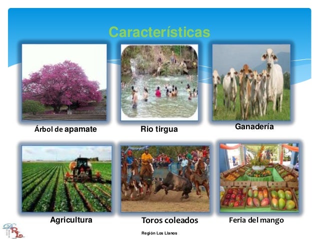 Llanos Region, Venezuela - Alchetron, the free social encyclopedia