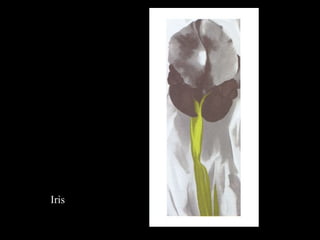 Georgia O'Keeffe | PPT