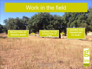 Presentación glm ingles | PPSX