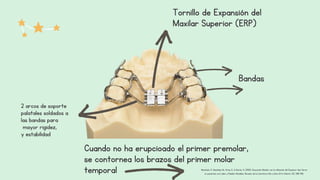 Hyrax a Bandas | PPT