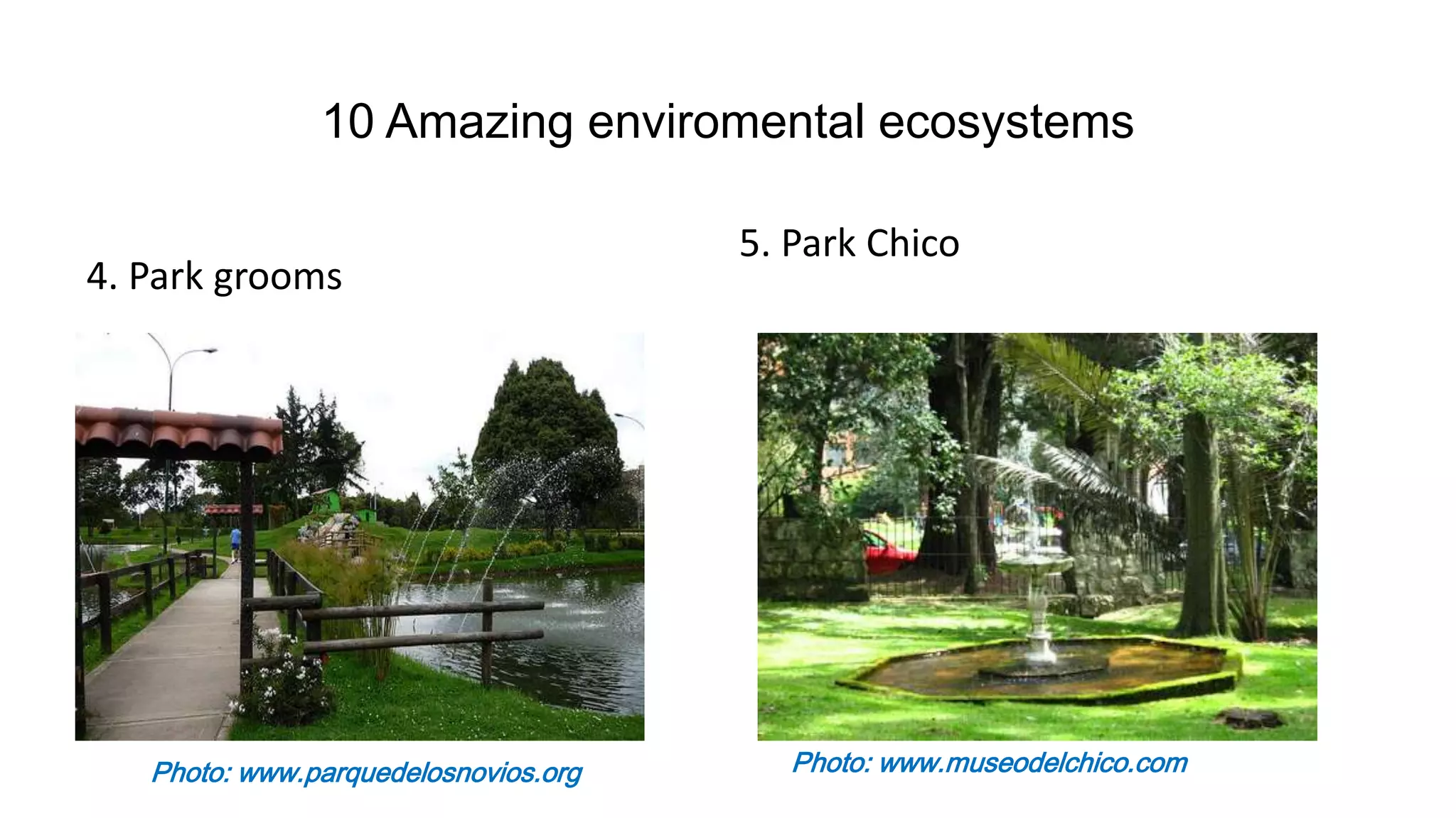 10 amazing enviromental ecosystemns | PPTX