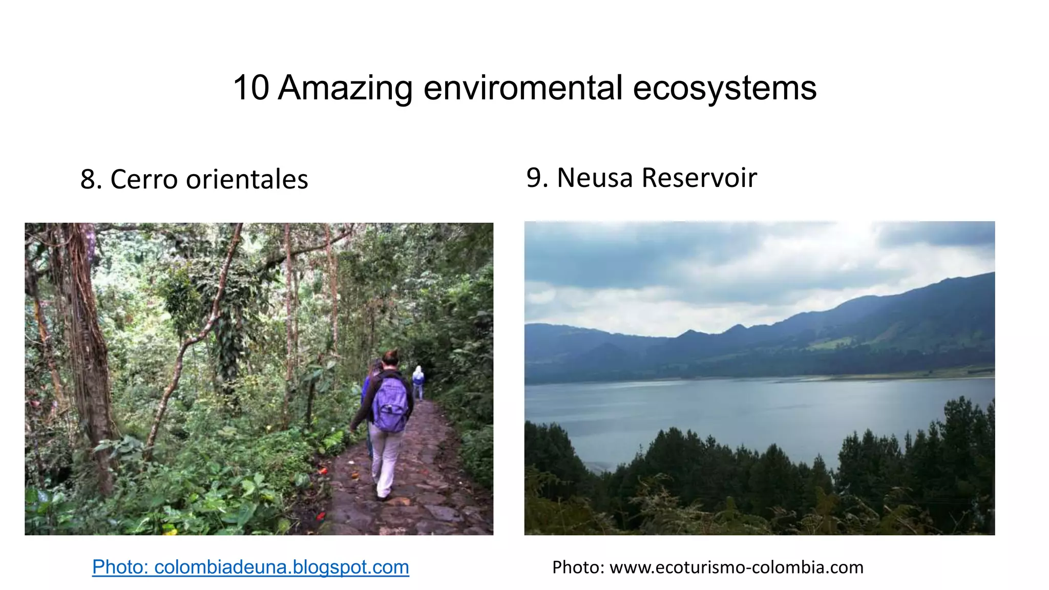 10 amazing enviromental ecosystemns | PPTX