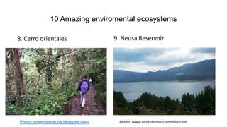 10 amazing enviromental ecosystemns | PPTX