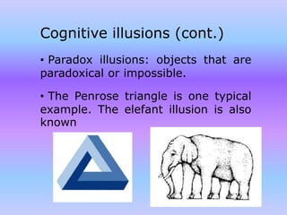 Optical illusions | PPT